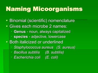 3 - Classification of Microorganisms.ppt
