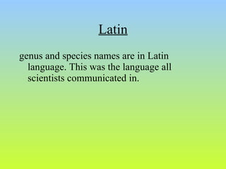 Classifying Today.09.ClassificationNotes#3 | PPT