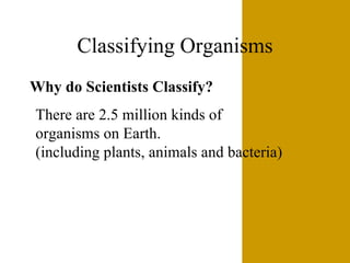 Classifying Today.09.ClassificationNotes#3 | PPT