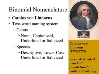 Classifying Today.09.ClassificationNotes#3 | PPT