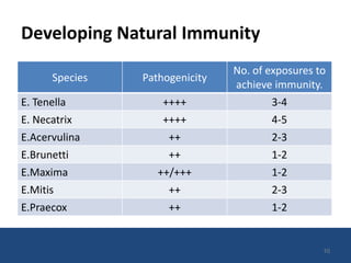 Coccidial Life Cycle | PPT
