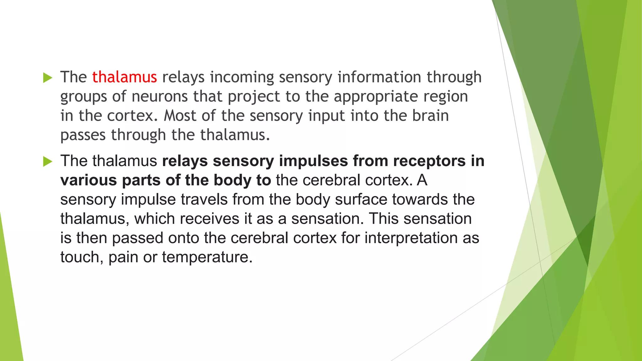 3-Cognitive-Neuroscience-20022023-022932pm.pptx