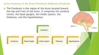 3-Cognitive-Neuroscience-20022023-022932pm.pptx
