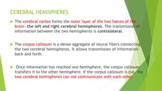 3-Cognitive-Neuroscience-20022023-022932pm.pptx