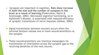 3-Cognitive-Neuroscience-20022023-022932pm.pptx