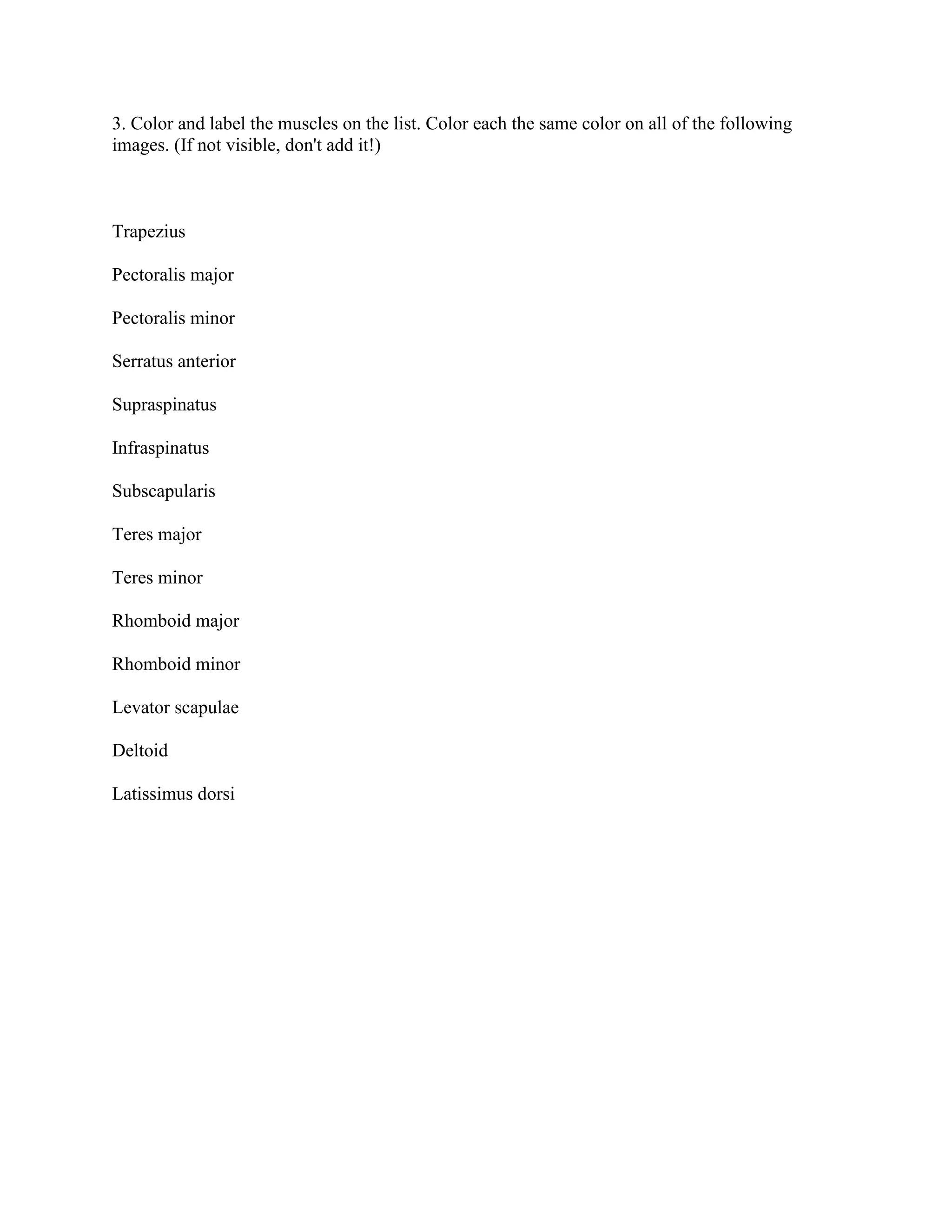3- Color and label the muscles on the list- Color each the same color.pdf