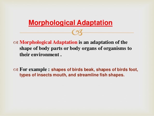 continuity of organism life