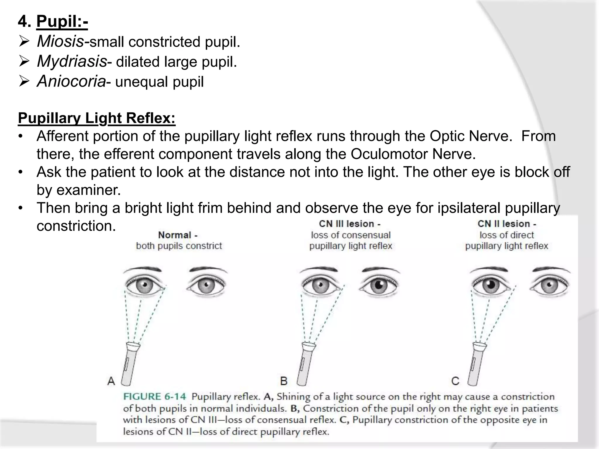 Part 3 cranial nerve examination | PPTX