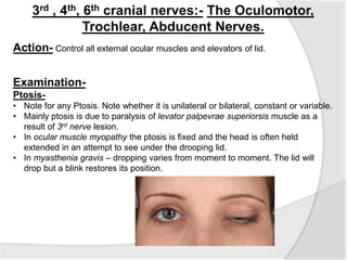 Part 3 cranial nerve examination | PPTX