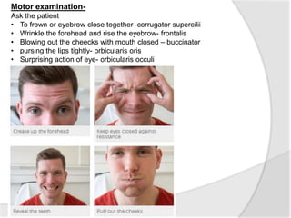 Part 3 cranial nerve examination | PPTX