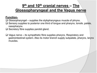 Part 3 cranial nerve examination | PPTX