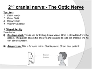 Part 3 cranial nerve examination | PPTX
