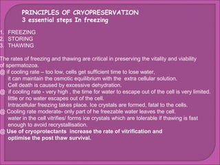 3...cryopreservation | PPT