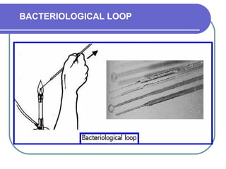 Culture Media - Prac. Microbiology | PPT