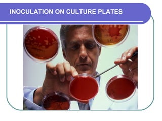 Culture Media - Prac. Microbiology | PPT