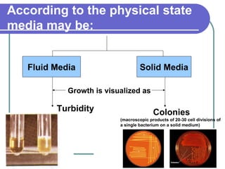 Culture Media - Prac. Microbiology | PPT