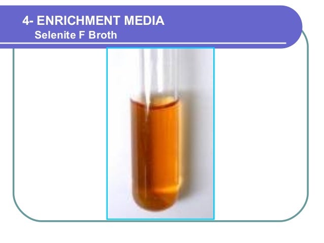 Culture Media - Prac. Microbiology