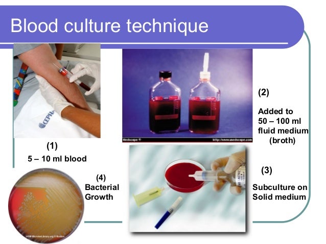 Culture Media - Prac. Microbiology