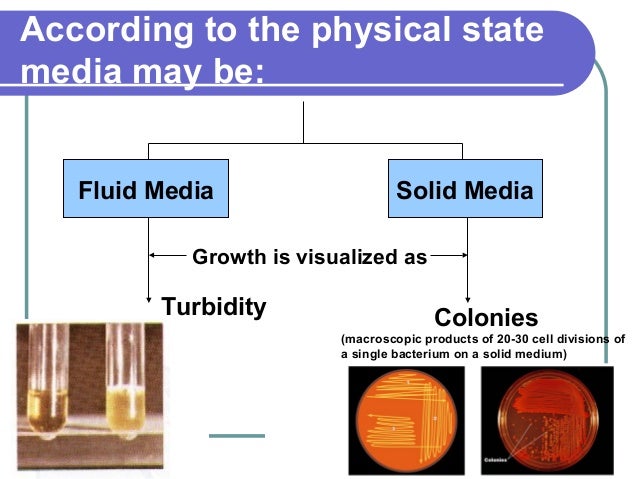 Culture Media - Prac. Microbiology