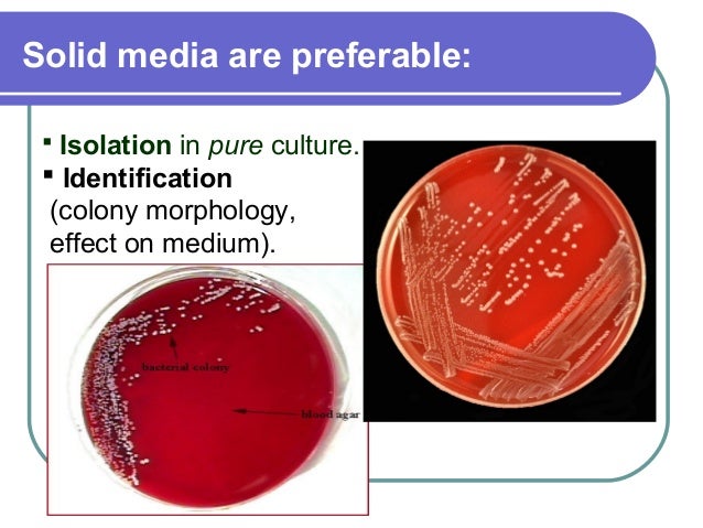 Culture Media - Prac. Microbiology