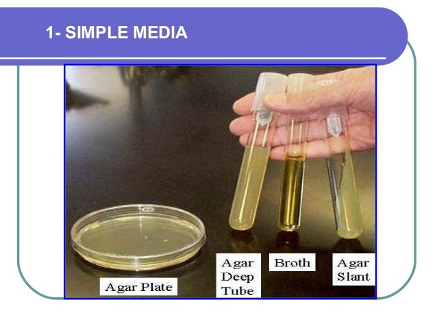 Culture Media - Prac. Microbiology