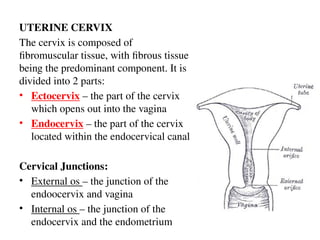 3-Cytology of Female Genital System.pptx.pdf