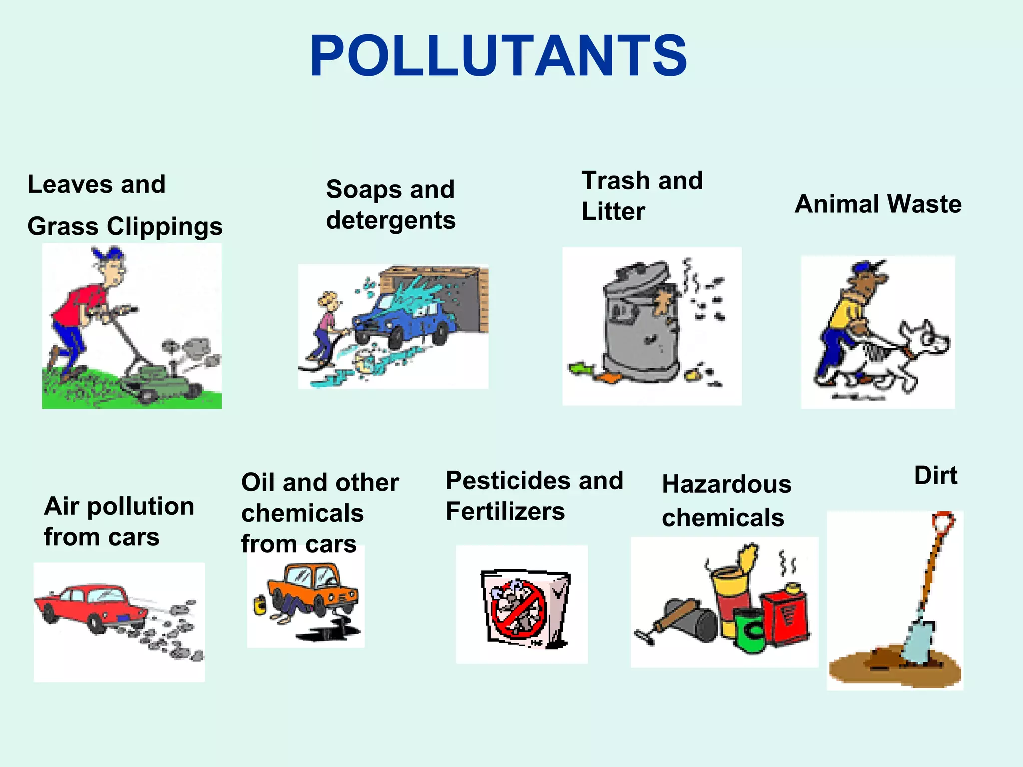 3 D Amelia Wong, Water Pollution Project | PPT