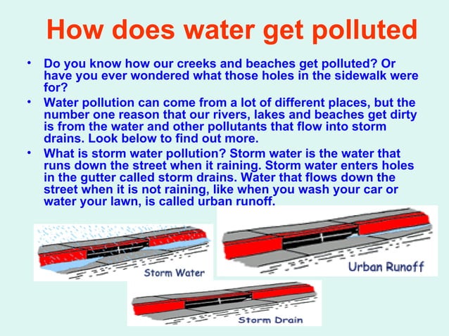 3 D Amelia Wong, Water Pollution Project | PPT