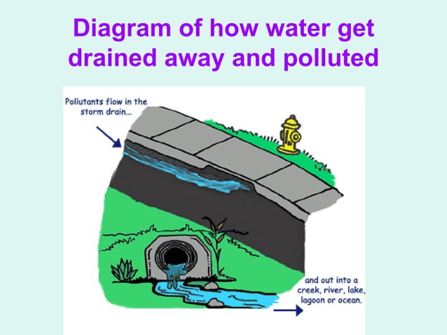 3 D Amelia Wong, Water Pollution Project | PPT