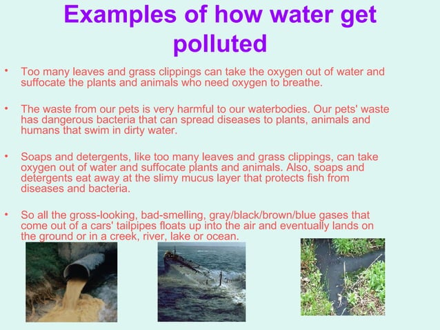 3 D Amelia Wong, Water Pollution Project | PPT