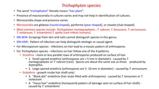 Dermatophytes:Microsporum, Trichophytom, Epidermophyton | PPT