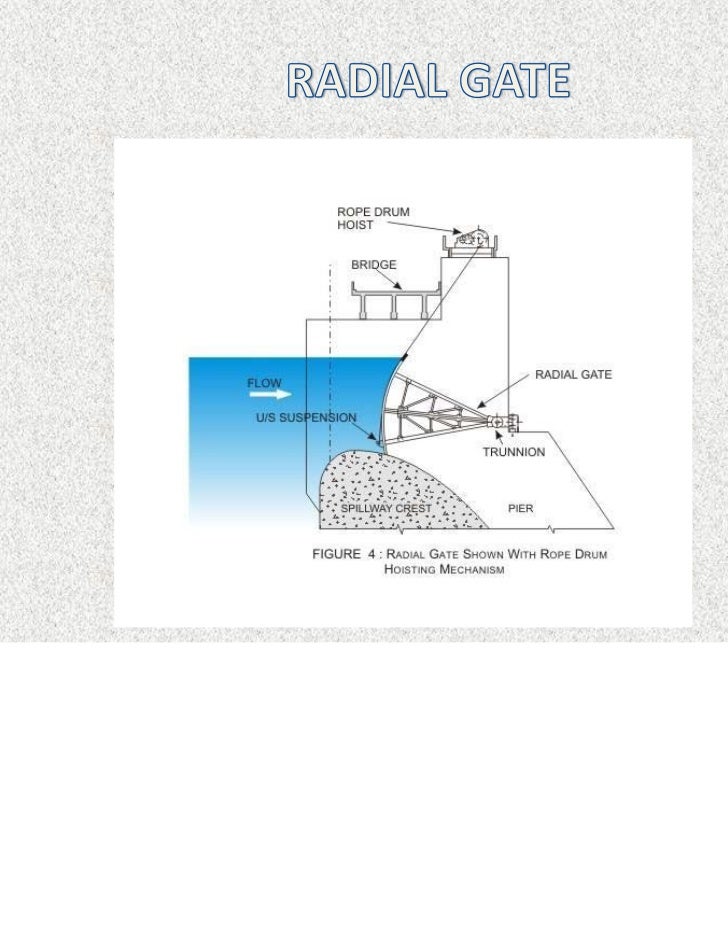 Design Aspects of Gates of Dam
