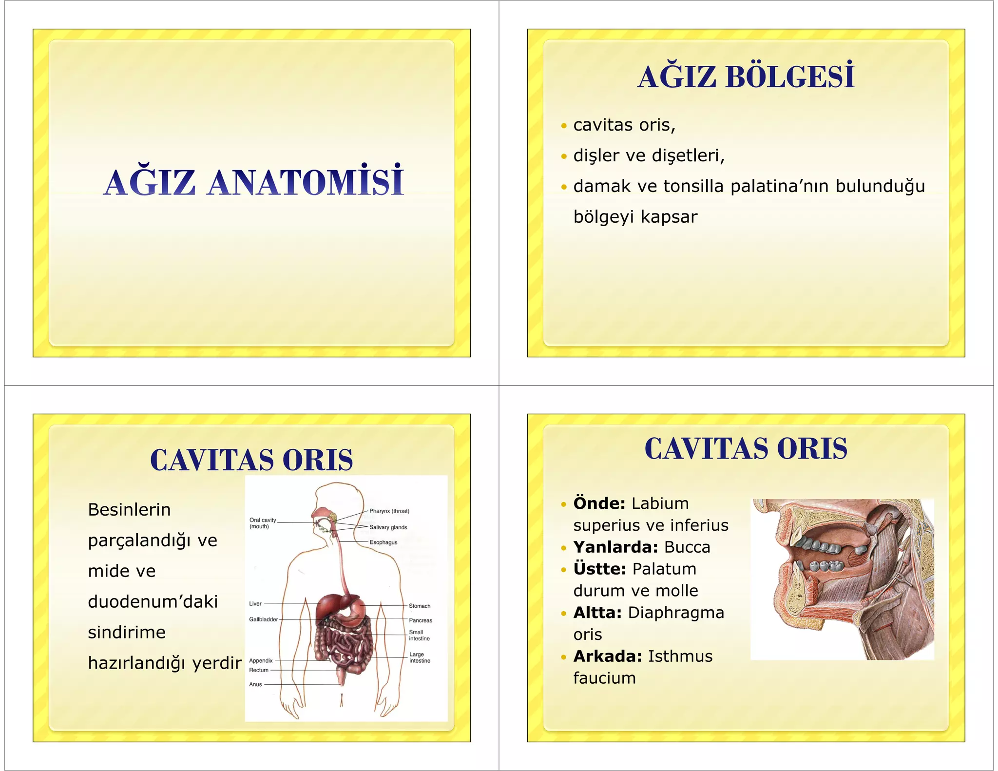 3 dis hekimligi-3-agiz-2015 | PDF