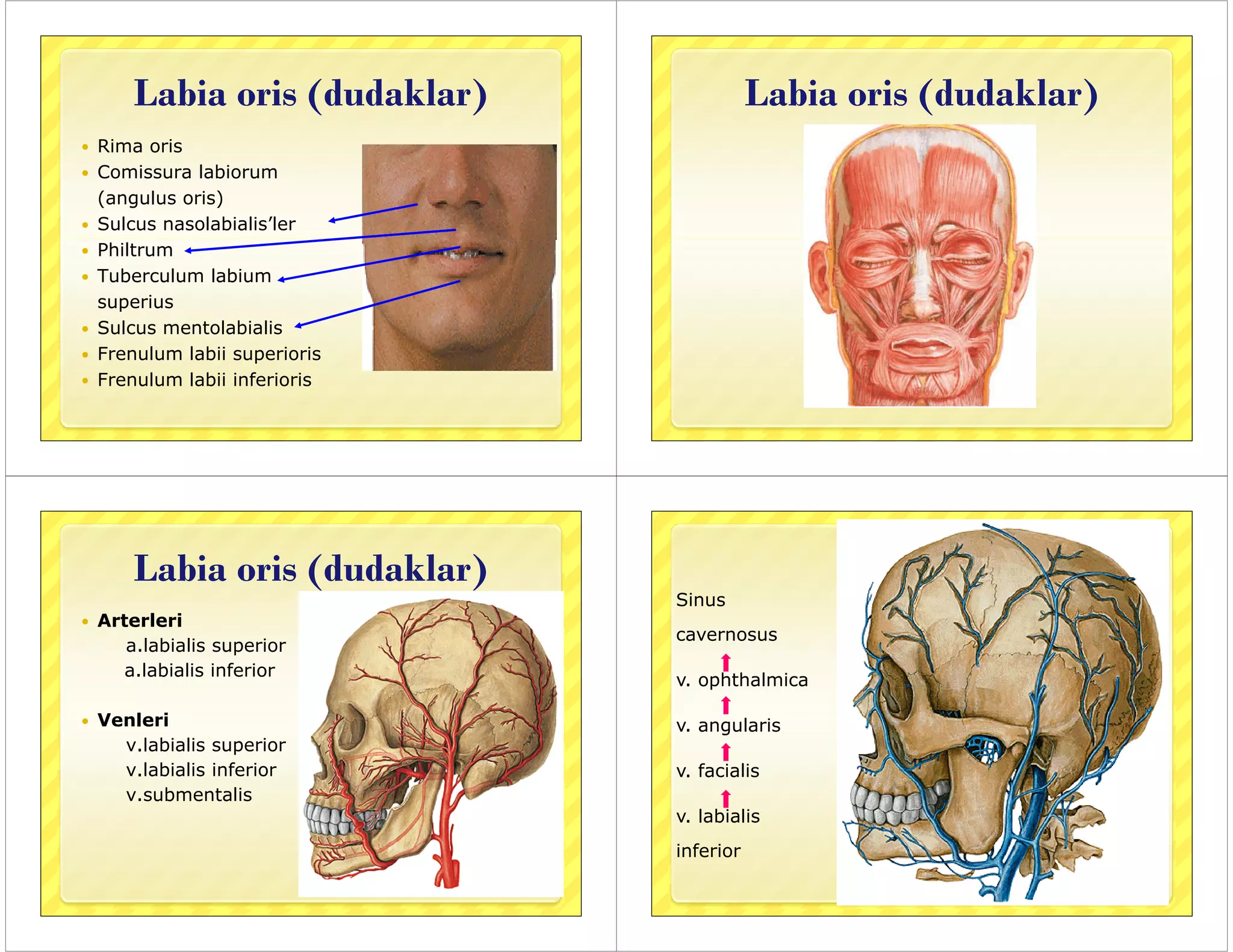 3 dis hekimligi-3-agiz-2015 | PDF