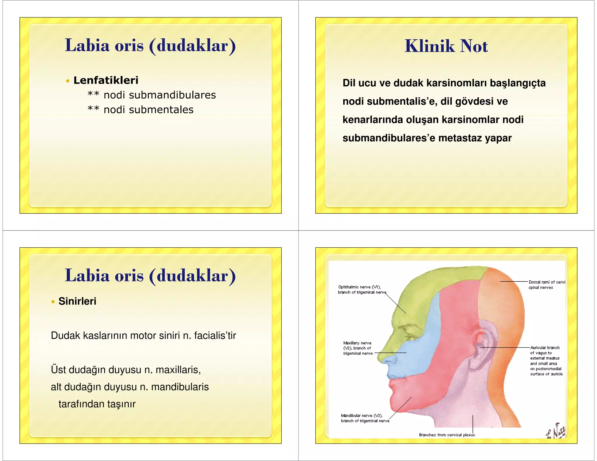 3 dis hekimligi-3-agiz-2015 | PDF