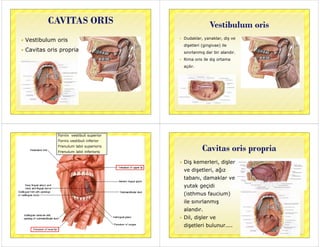 3 dis hekimligi-3-agiz-2015 | PDF