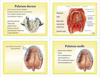 3 dis hekimligi-3-agiz-2015 | PDF
