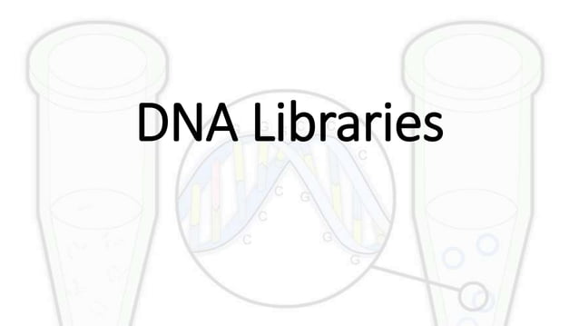 3 dna libraries | PPT