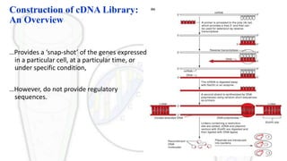 3 dna libraries | PPT