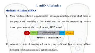 3 dna libraries | PPTX