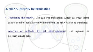 3 dna libraries | PPTX