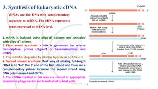 3 dna libraries | PPT