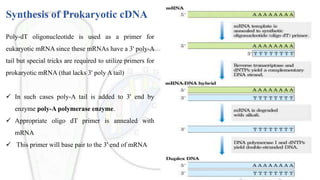 3 dna libraries | PPT