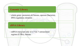 3 dna libraries | PPT