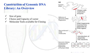 3 dna libraries | PPT