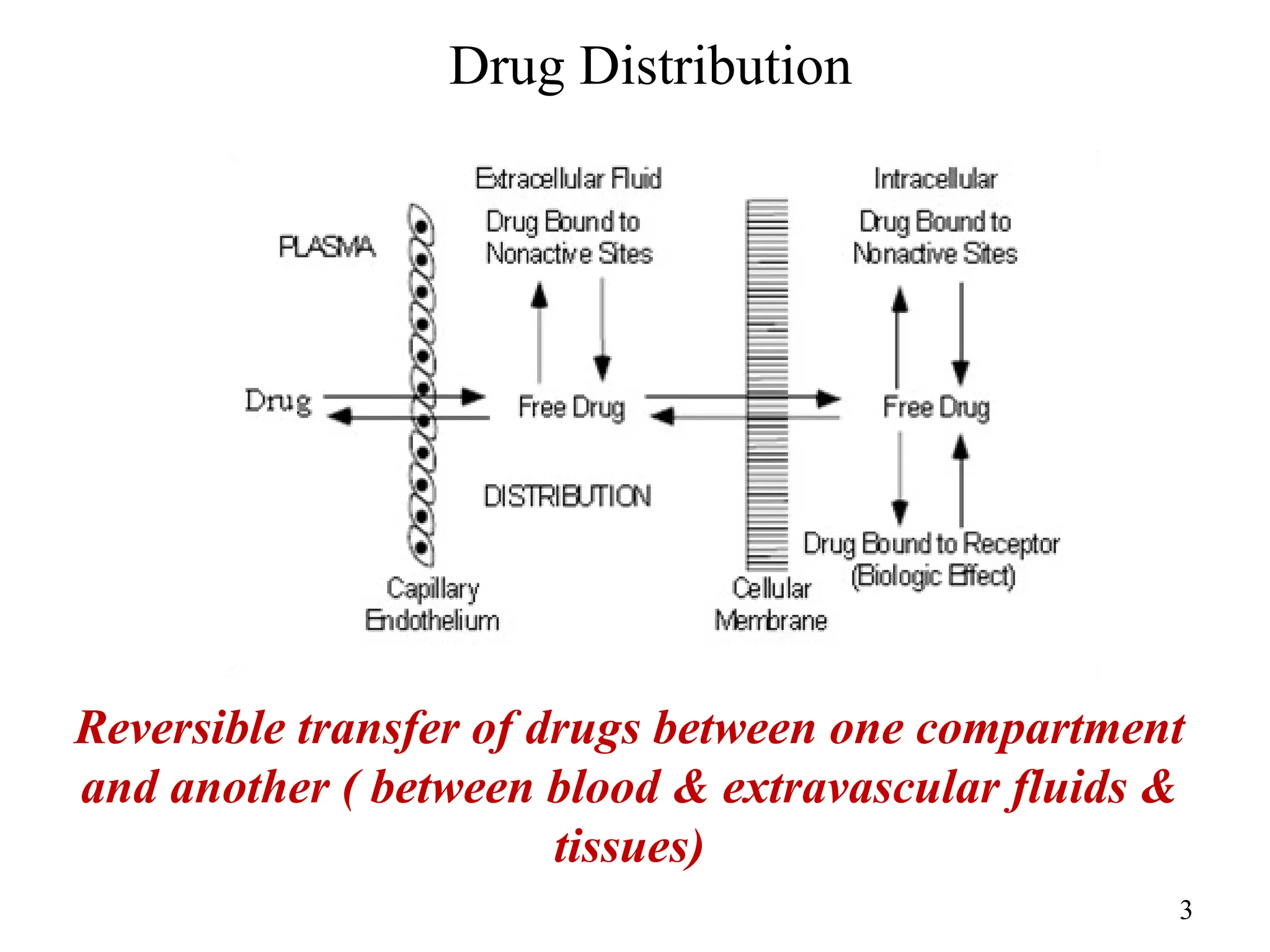 3-Drug Absorption and it's Distribution.pptx