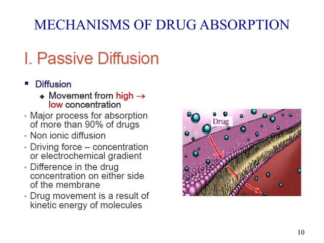 3-Drug Absorption and it's Distribution.pptx