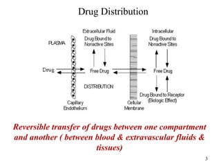 3-Drug Absorption and it's Distribution.pptx