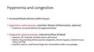 Hemodynamic disorders - Edema, Hyperemia, Hemorrahge by DR. ROOPAM JAIN ...