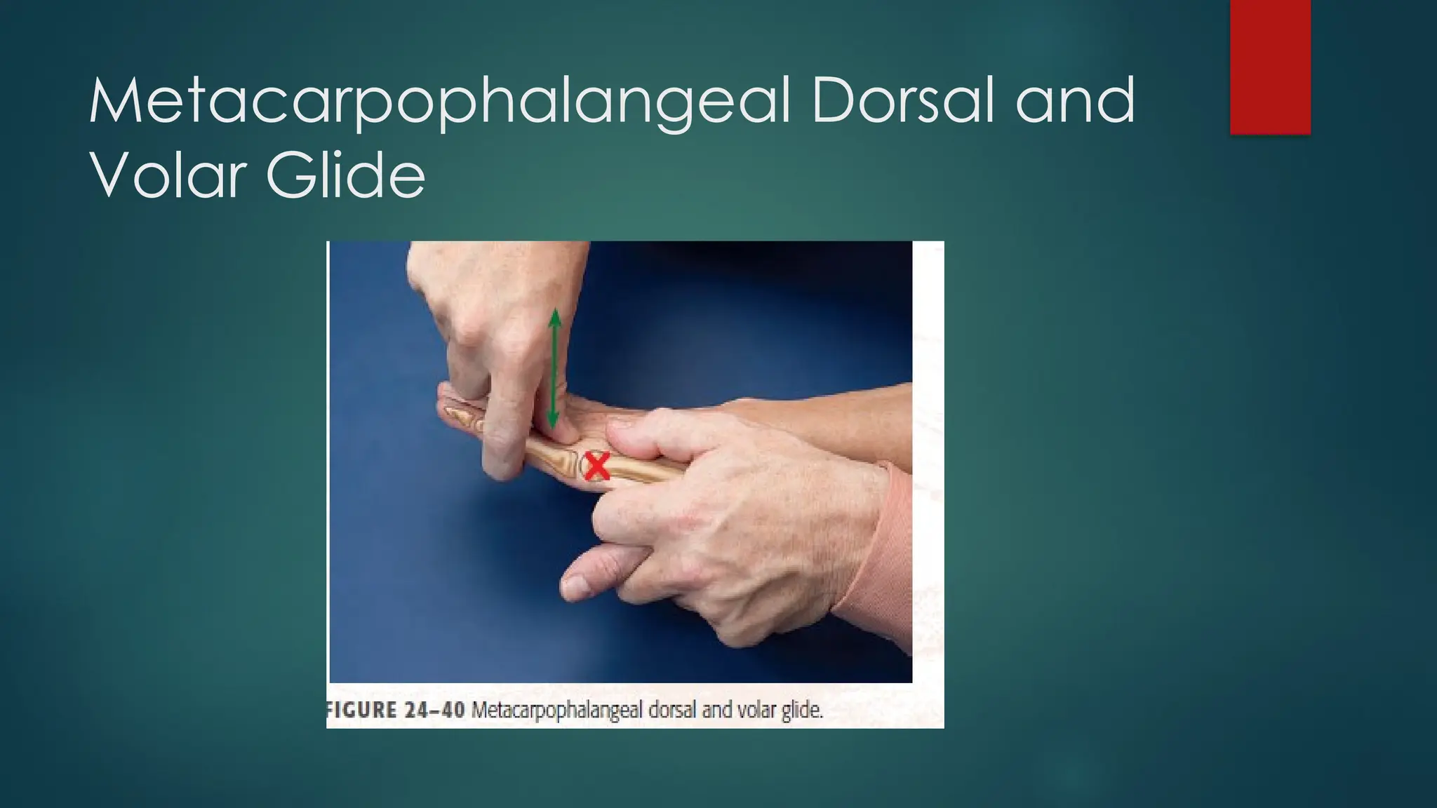 3- elbow & hand mobilization.and muscles and bone | PPTX